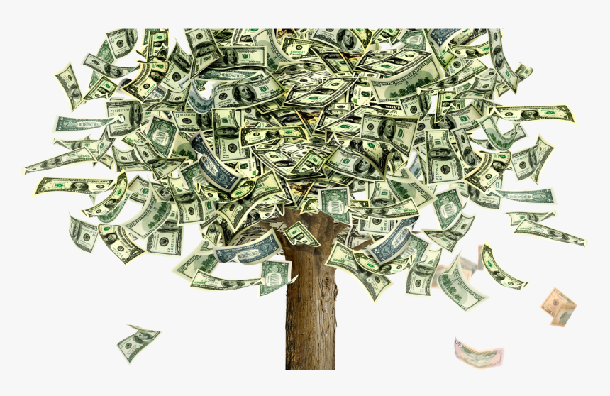 Transparent 100 Dollar Png - Money Tree, Png Download , Transparent Png ...