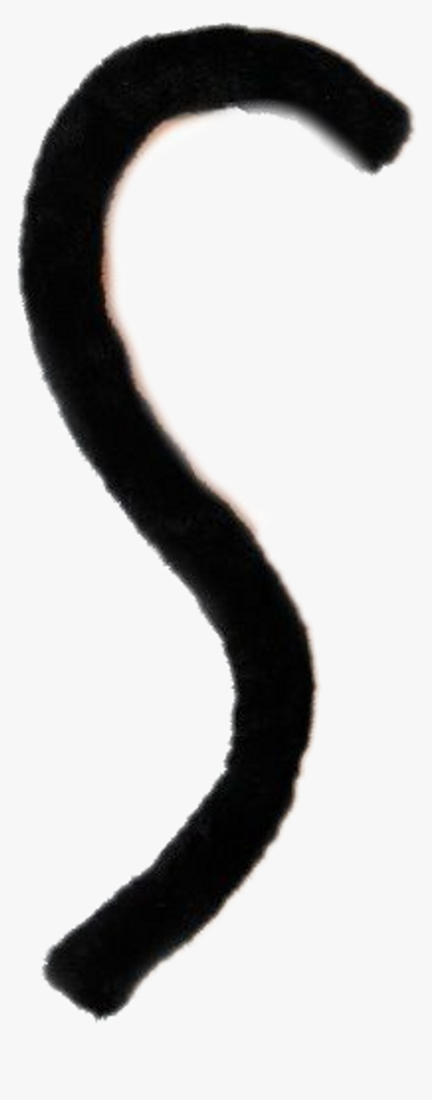 Transparent Cat Tail