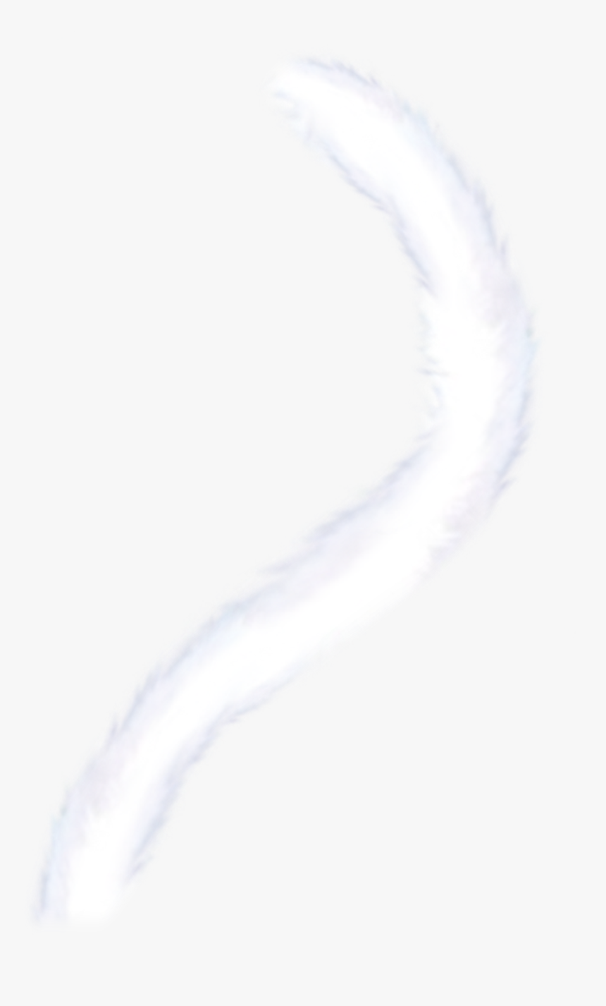 Cat Tail Transparent