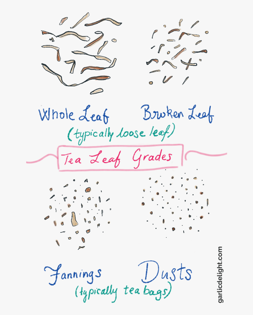 Tea Leaf Grading Comparison Chart Illustrated With - Handwriting, HD ...