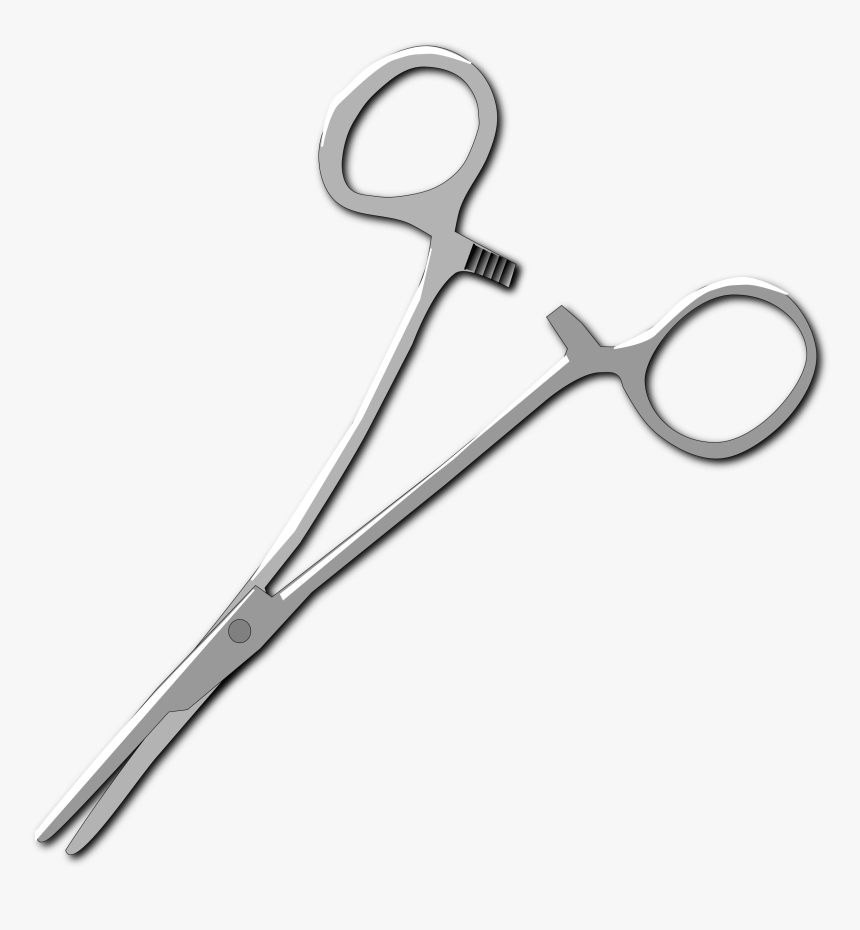 Hemostat Image Png - Blood Vessel Clip Surgery, Transparent Png ...