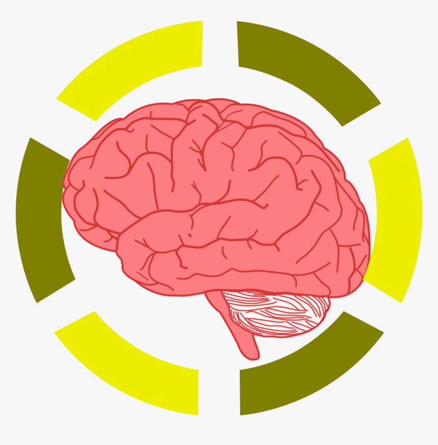 Brain Question Mark Png , Transparent Cartoons - Clip Art Of Brain, Png ...