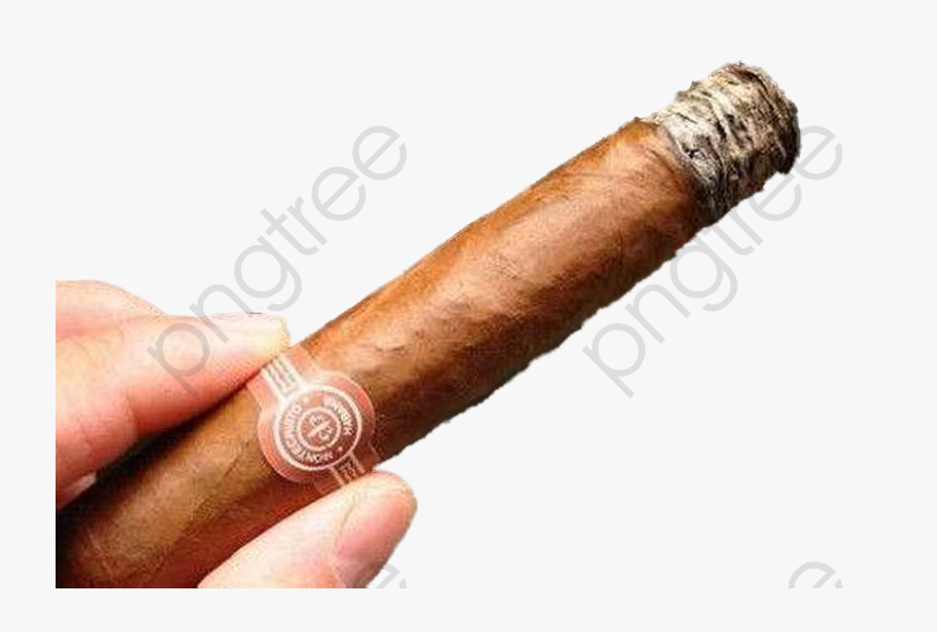 Cigars Cigar Smoke The - Transparent Cigar, HD Png Download ...