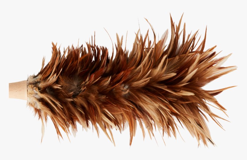 Transparent Feather Duster Png, Png Download , Transparent Png Image ...