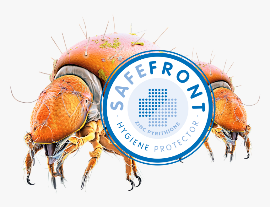 Transparent National Geographic Png - Box Mite, Png Download ...