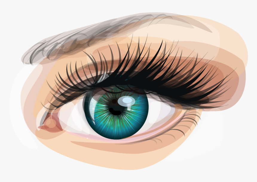 Human Eye Euclidean Vector Clip Art - Eyes Vector, HD Png Download ...