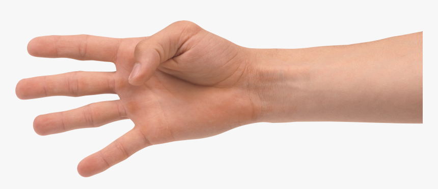Four Finger Hand - Transparent 4 Finger Hand Png, Png Download ...