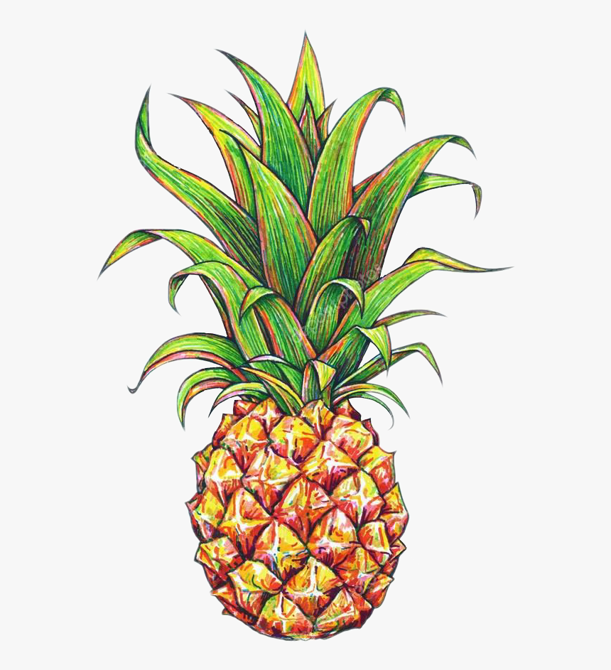 Motif Ananas Tumblr