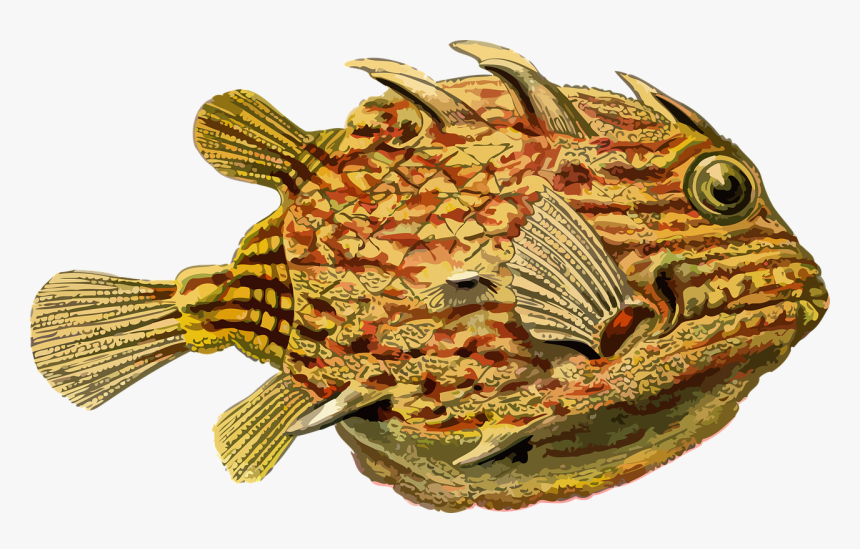 Color Palette Seafood, HD Png Download , Transparent Png Image - PNGitem