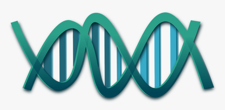 Png Free Dna Clipart Transparent - Genes Png, Png Download ...