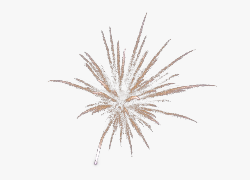 Clipart Free Stock Download Computer File Fireworks - Frost, HD Png ...