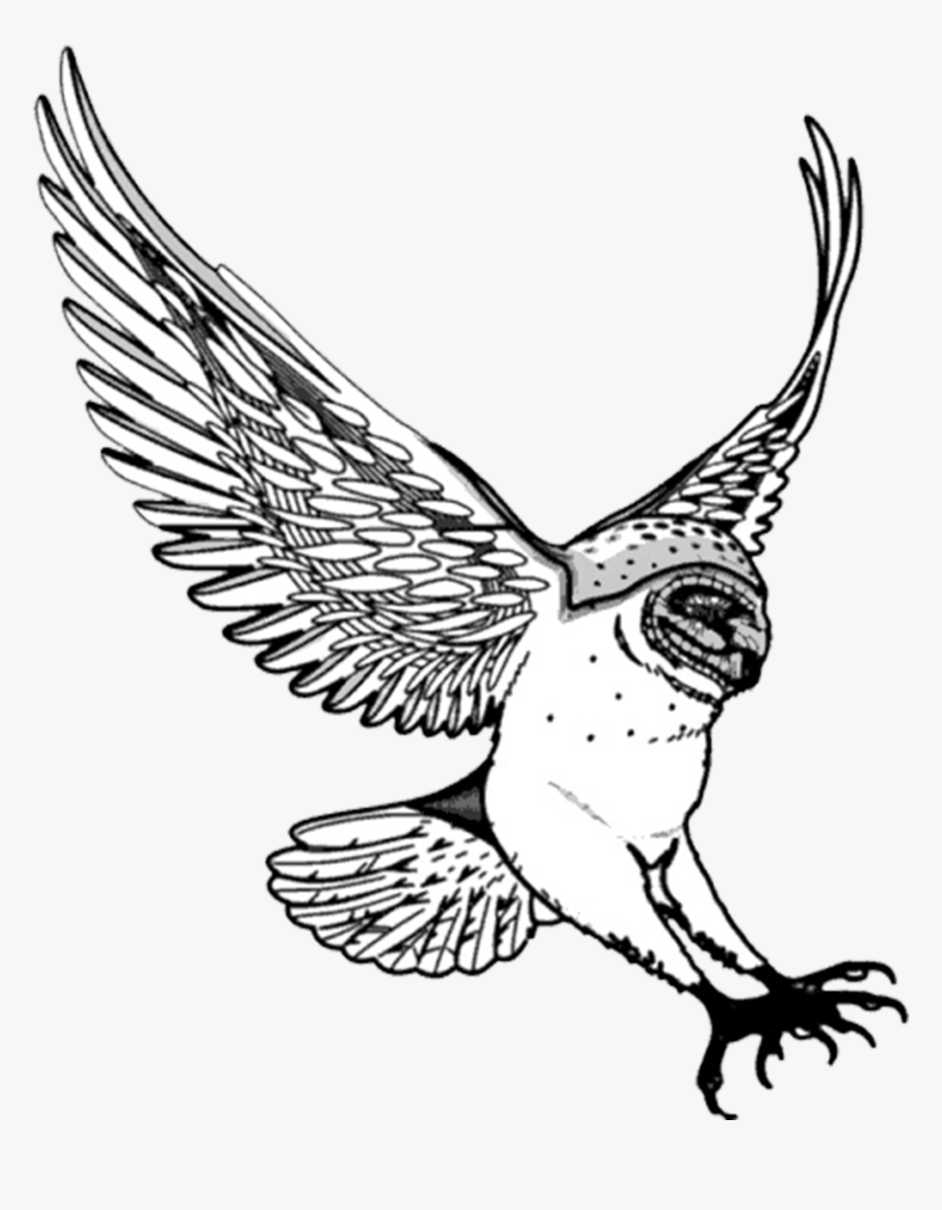 Flying Drawing At Getdrawings - Swoop Clipart, HD Png Download ...