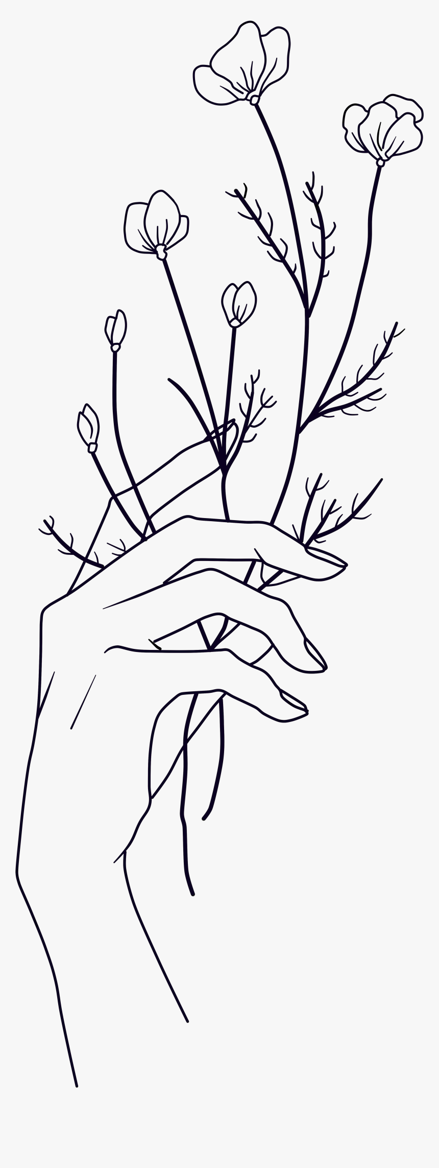 Transparent Picasso Clipart, HD Png Download , Transparent Png Image ...