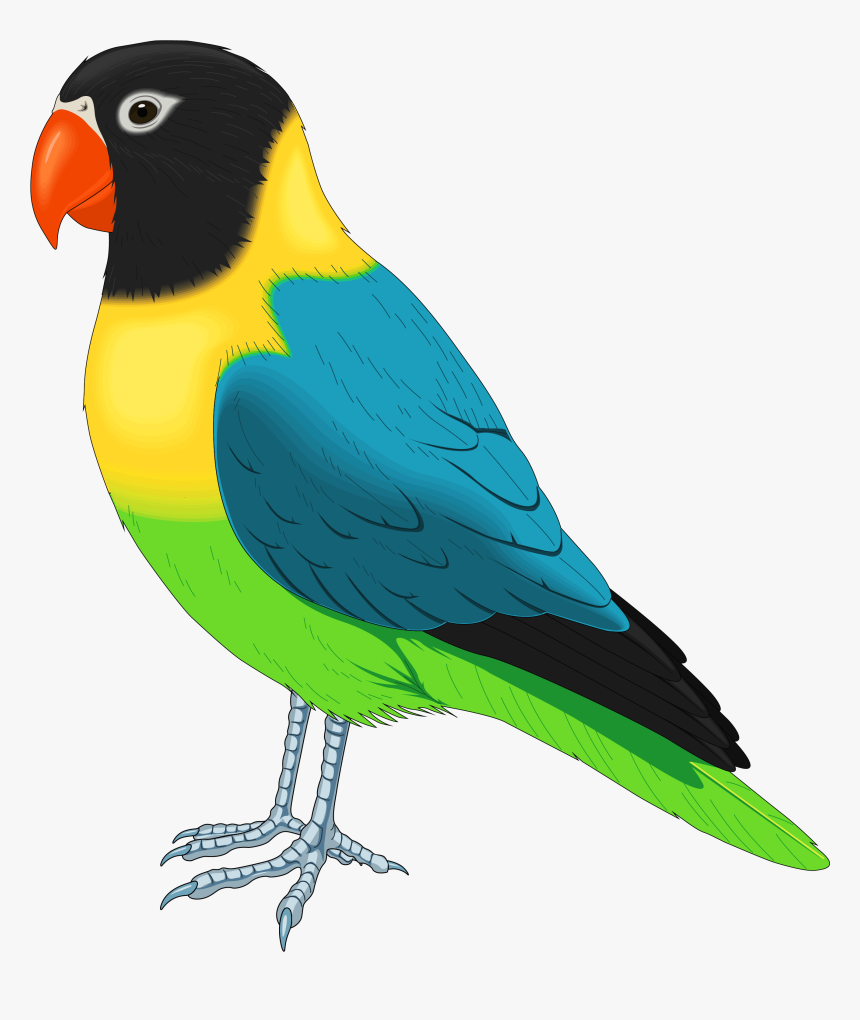 Bird Png - Realistic Bird Clipart, Transparent Png , Transparent Png ...