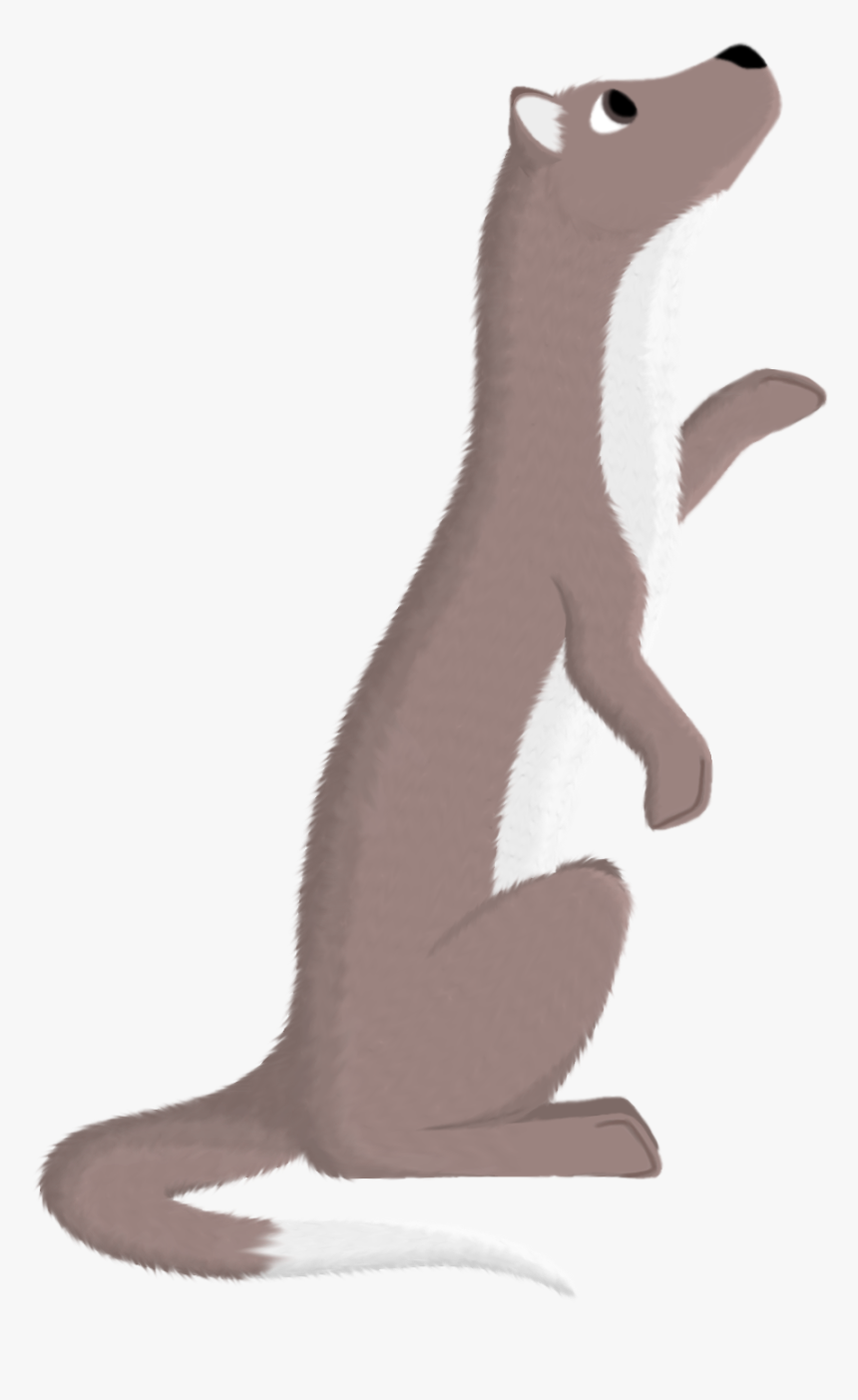 Transparent Weasel Png - Punxsutawney Phil, Png Download , Transparent ...