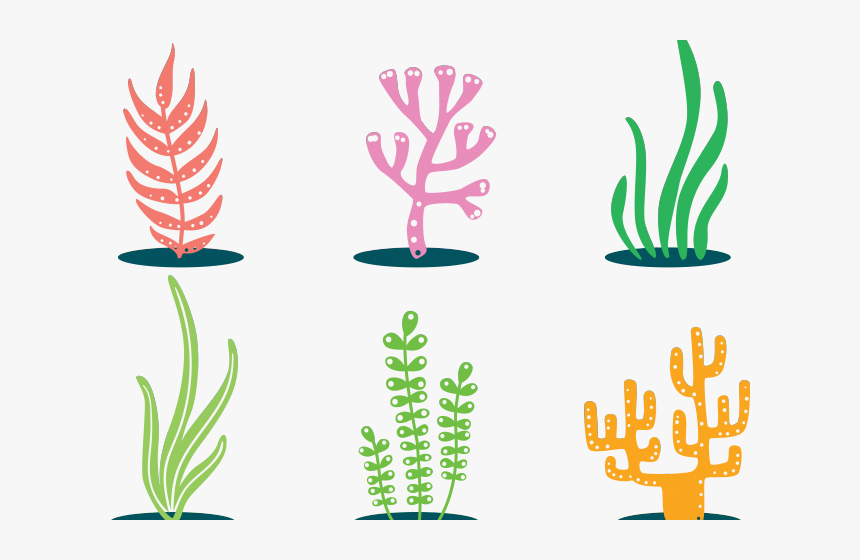 Seaweed Clipart Colorful - Colorful Cartoon Seaweed Clipart, HD Png ...