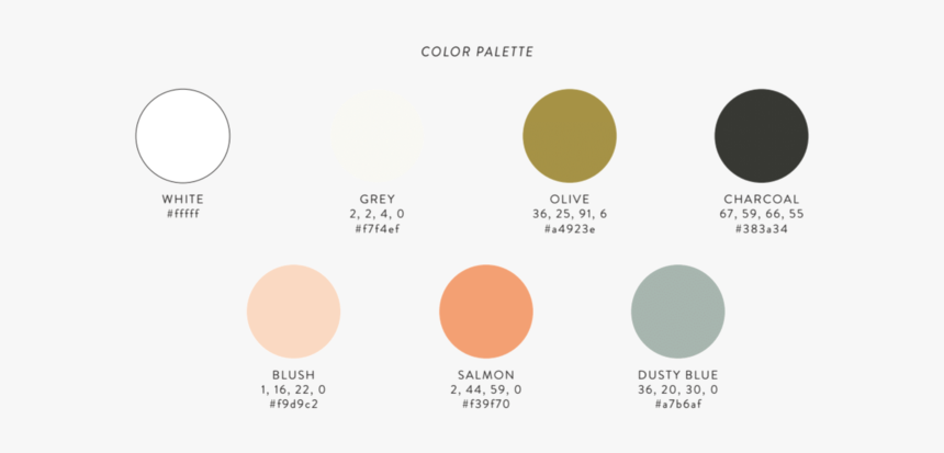 Color-palette - Circle, HD Png Download , Transparent Png Image - PNGitem