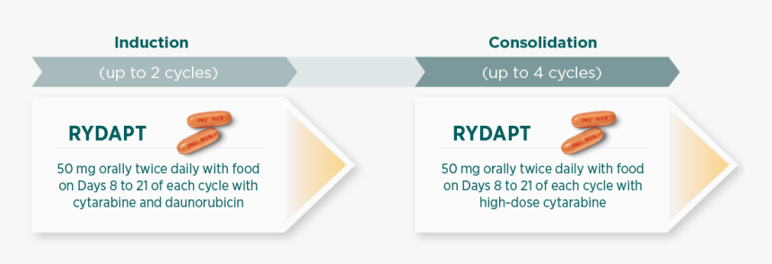 Dosing - Rydapt Novartis Logo, HD Png Download , Transparent Png Image ...