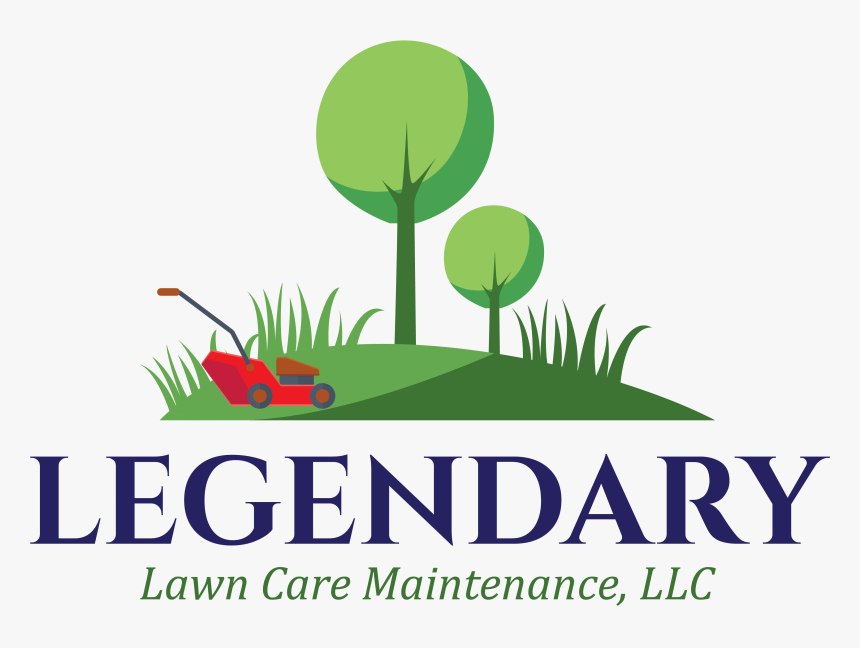 Logo - Tree, HD Png Download , Transparent Png Image - PNGitem