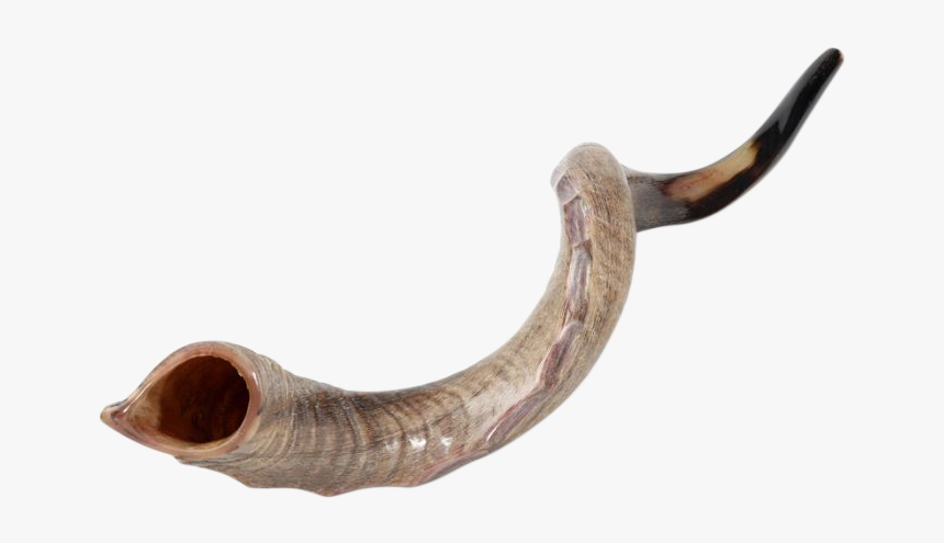 Transparent Shofar Png, Png Download , Transparent Png Image - PNGitem