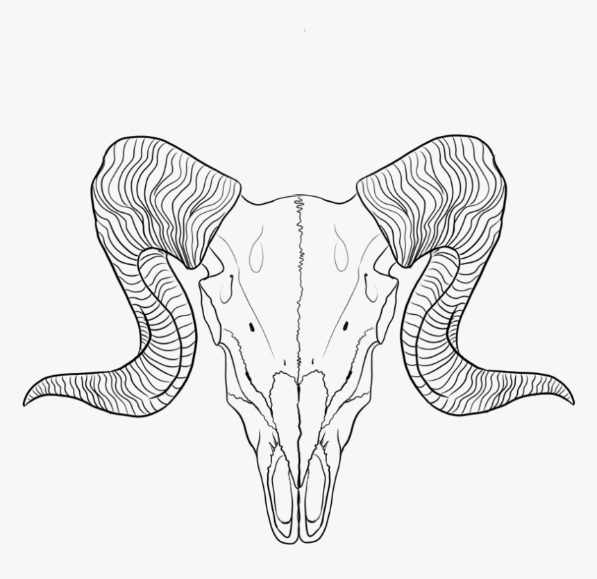 Lineart Ram By - Ram Skull Line Art, HD Png Download , Transparent Png ...