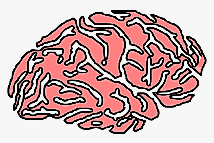 Forgetful Brain, HD Png Download , Transparent Png Image - PNGitem