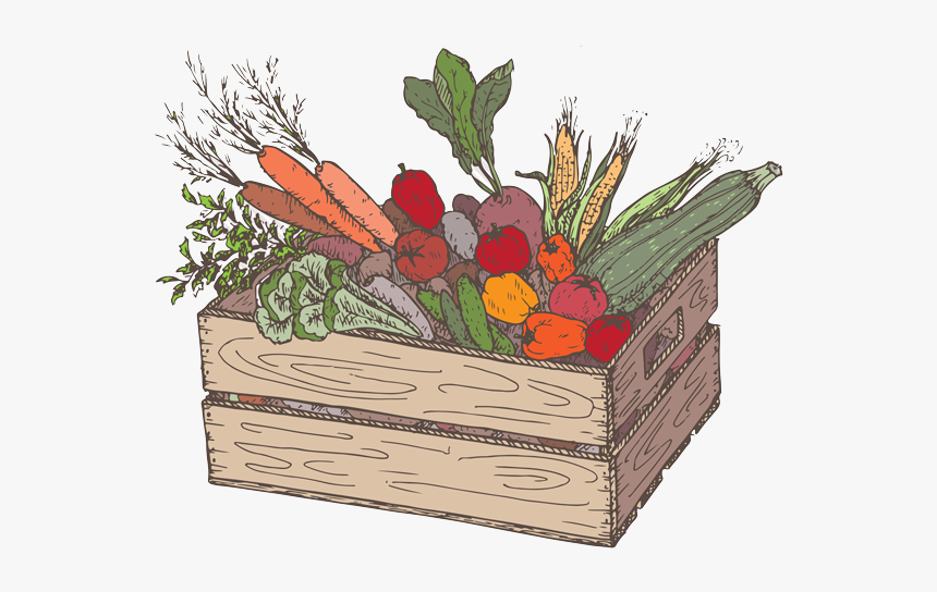 Fruit & Vegetable Box Sketch, HD Png Download , Transparent Png Image ...