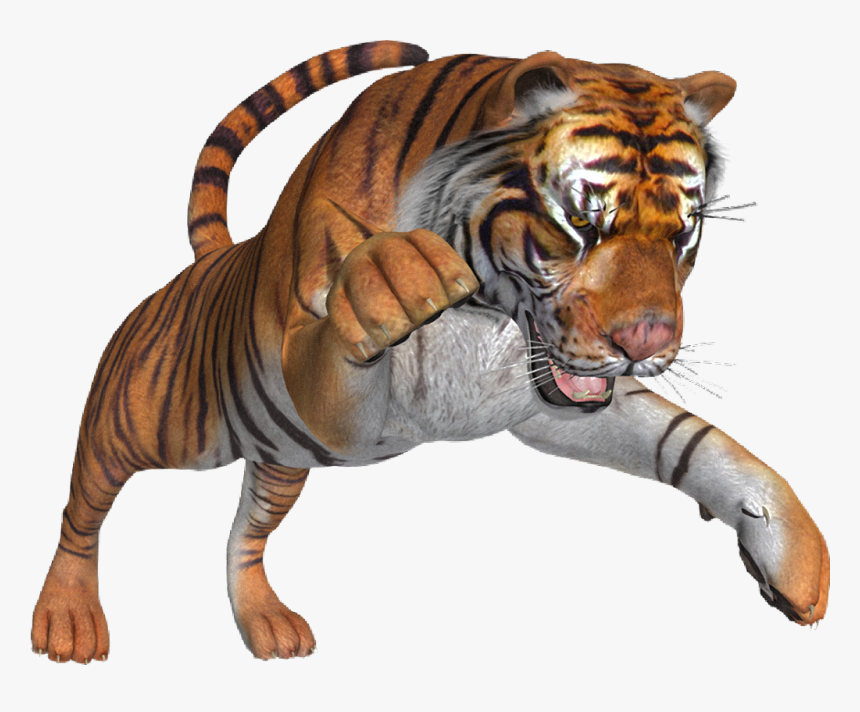 Angry Tiger Png
