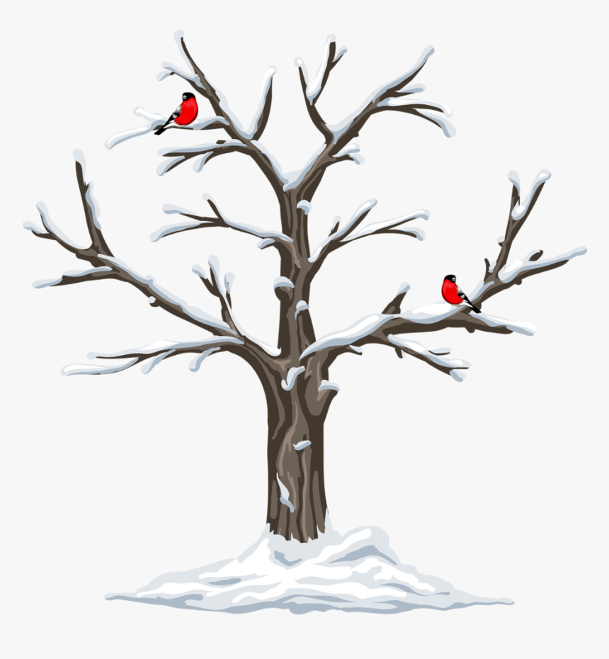 Garden Clipart, Weather Seasons, Clip Art, Christmas - Cardinal In Tree ...