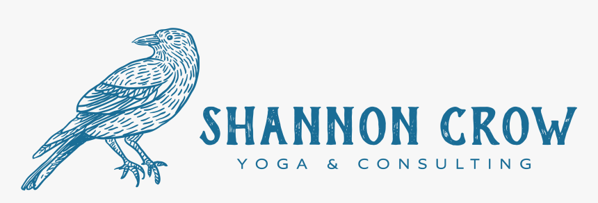 Shannon Crow - Red Shouldered Hawk, HD Png Download , Transparent Png ...