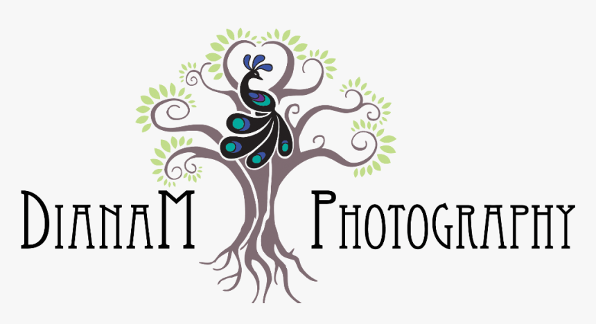 Dianam Photography, HD Png Download , Transparent Png Image - PNGitem