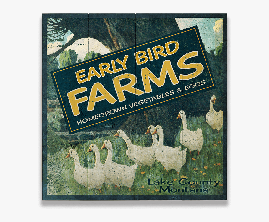 Early Bird Png, Transparent Png , Transparent Png Image - PNGitem