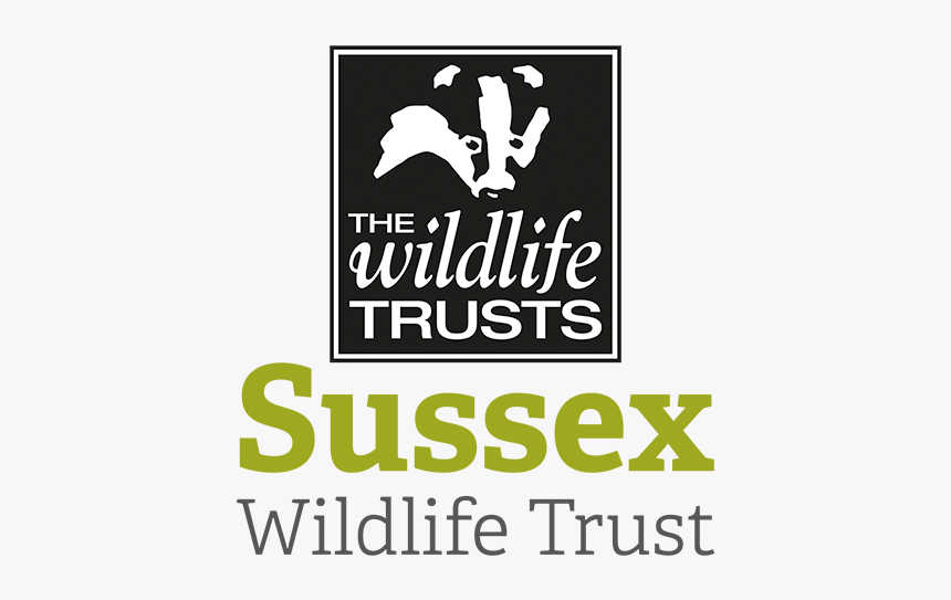 Sussex Wildlife Trust Logo, HD Png Download , Transparent Png Image ...