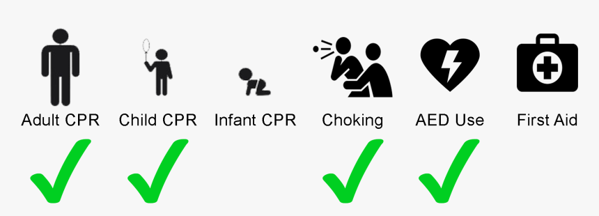 Adult Child Infant Icons, HD Png Download , Transparent Png Image - PNGitem