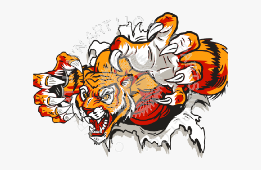 Melrose Golden Wildcats Basketball - Tiger Ripping Through Wall, HD Png ...