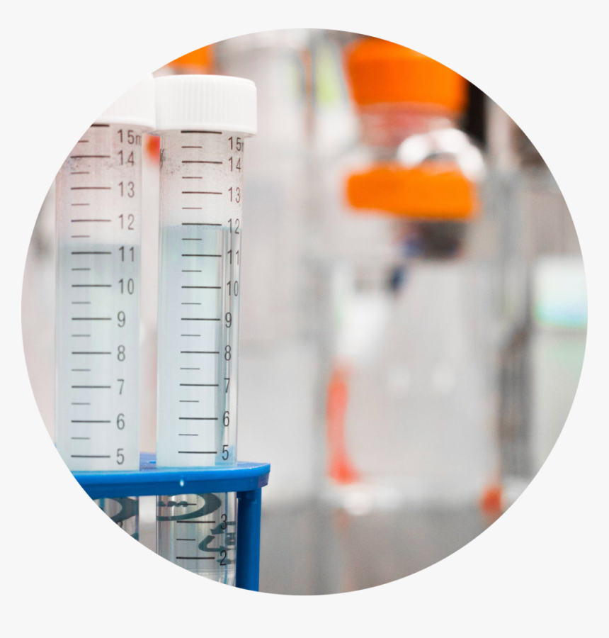 Circle Lab - Investigation Medical, HD Png Download , Transparent Png ...
