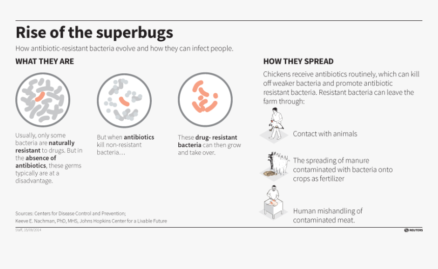 Resistant And Non Resistant Bacteria, HD Png Download , Transparent Png ...