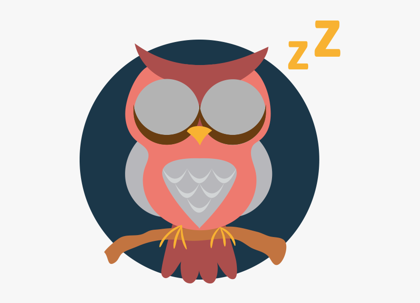 Buho - Owl, HD Png Download , Transparent Png Image - PNGitem