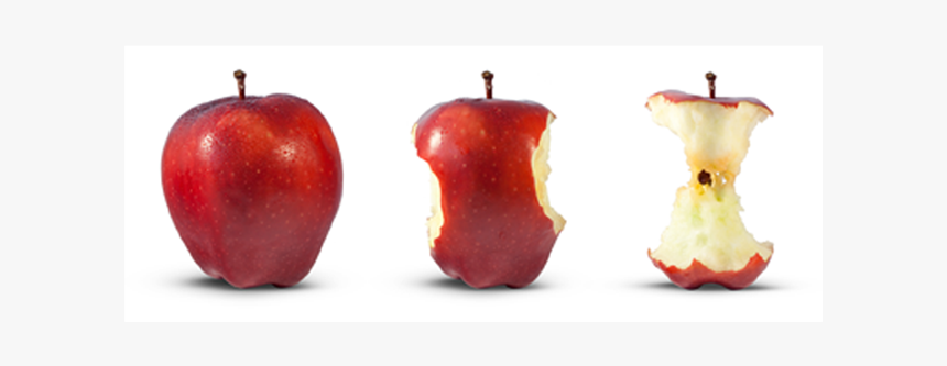 Apple Core With Seeds, HD Png Download , Transparent Png Image - PNGitem