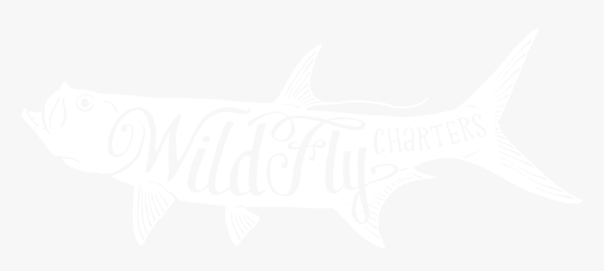 Pine Island Light Tackle And Fly Fishing Guide Logo - Fly Fishing Guide ...