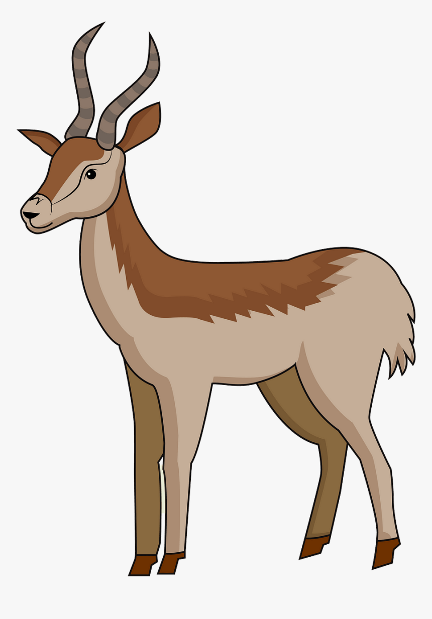 Gazelle, HD Png Download , Transparent Png Image - PNGitem