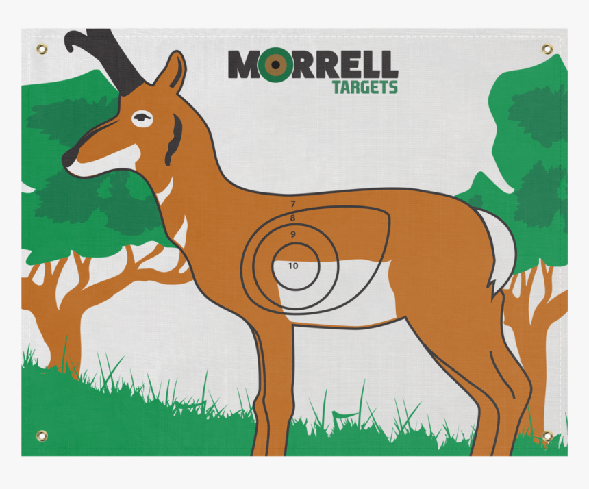 O/nasp Polypropylene Archery Target Face - Nasp 3d Targets, HD Png ...