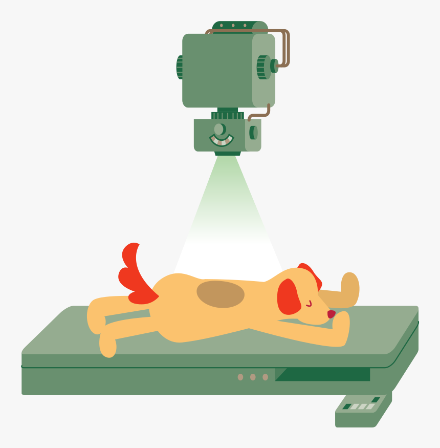 Xray And Dog - X Ray Dog Png, Transparent Png , Transparent Png Image ...