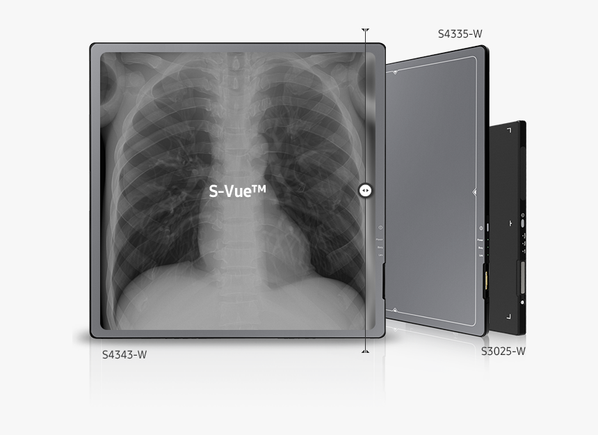 Xray Png, Transparent Png , Transparent Png Image - PNGitem