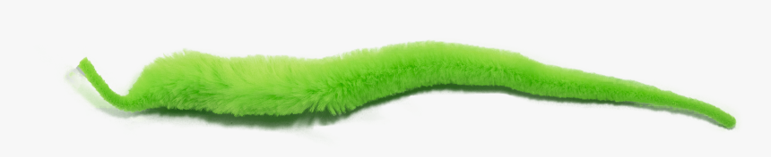 Slug, HD Png Download , Transparent Png Image - PNGitem