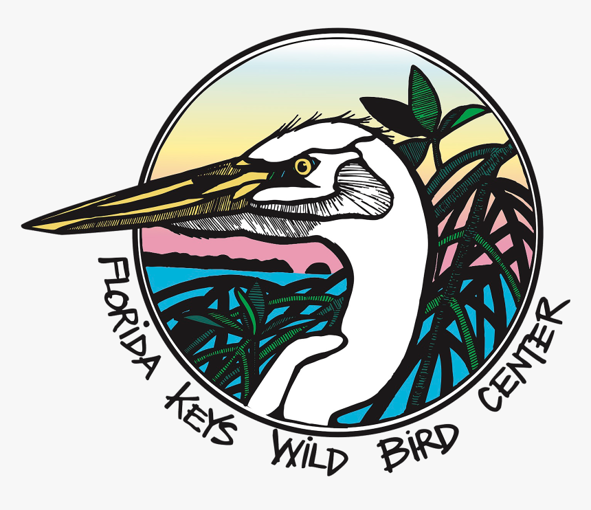 Logo Regular Transparent - Florida Keys Wild Bird Center, HD Png ...