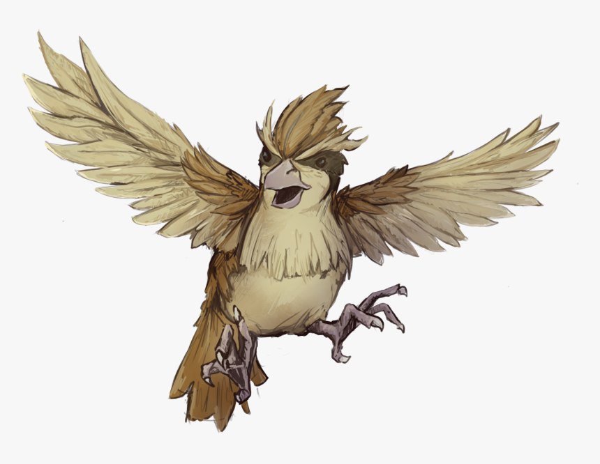 Parrot, HD Png Download , Transparent Png Image - PNGitem