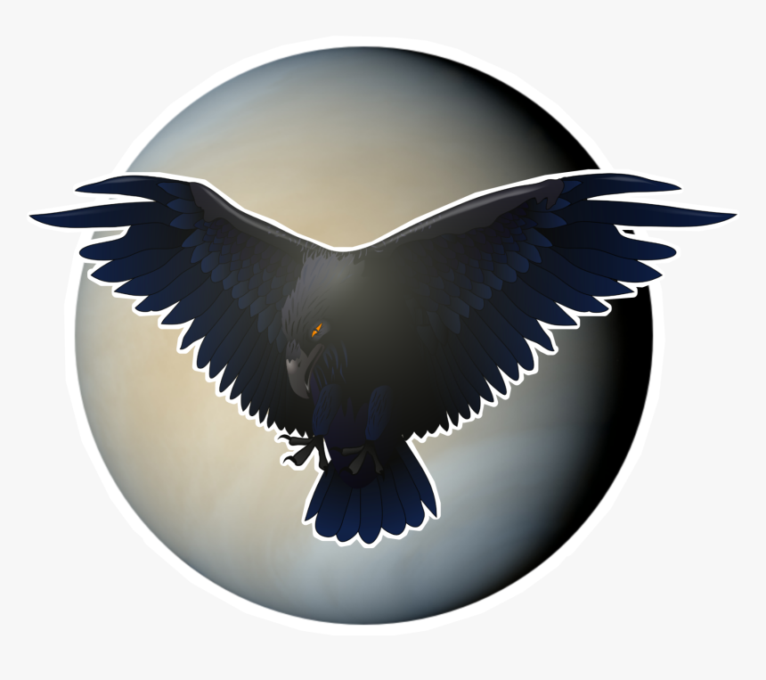 Raven Png, Transparent Png , Transparent Png Image - PNGitem