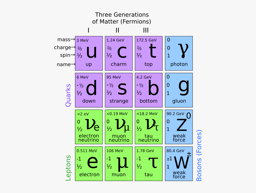 Elementary Particles, HD Png Download , Transparent Png Image - PNGitem