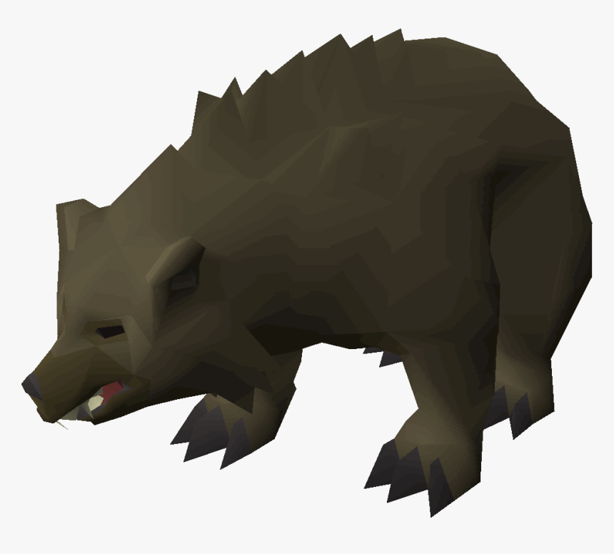 Old School Runescape Wiki - Bear Spawns Osrs, HD Png Download ...